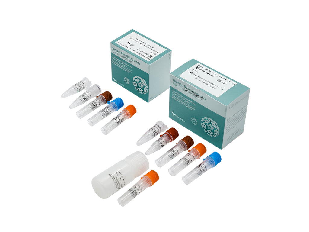 Human Papillomavirus Real Time PCR Kit - Bioservices
